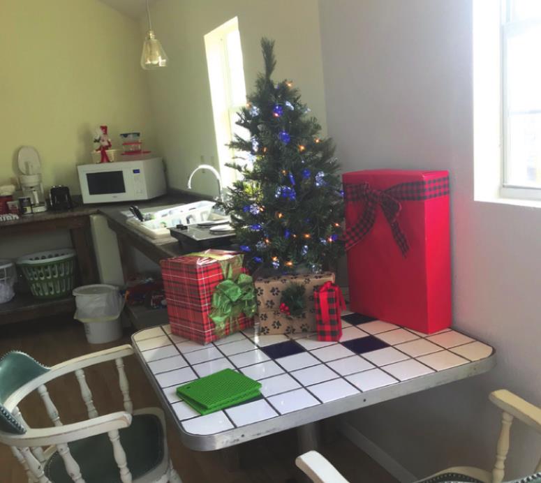 Miss Bobbie and Her Pups Able to Enjoy Christmas in Their New House ...