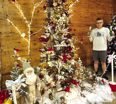 Fayetteville Christmas Tree Display Contest Winners Announced | The ...