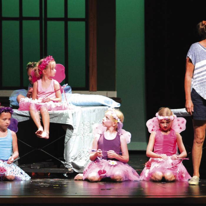 Pan is the Plan | The Fayette County Record