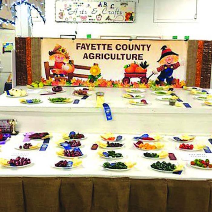 County Fair Seeking Agriculture Entries | The Fayette County Record