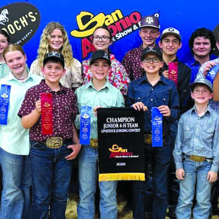 Fayette 4-H Wins Big at the San Antonio Livestock Show Livestock ...