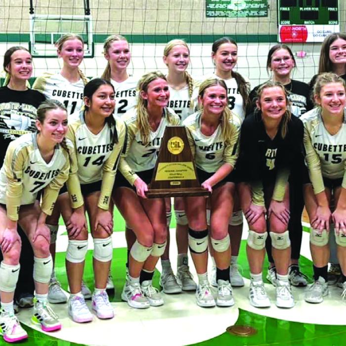 Round Top-Carmine Volleyball Headed to State Semifinals | The Fayette ...