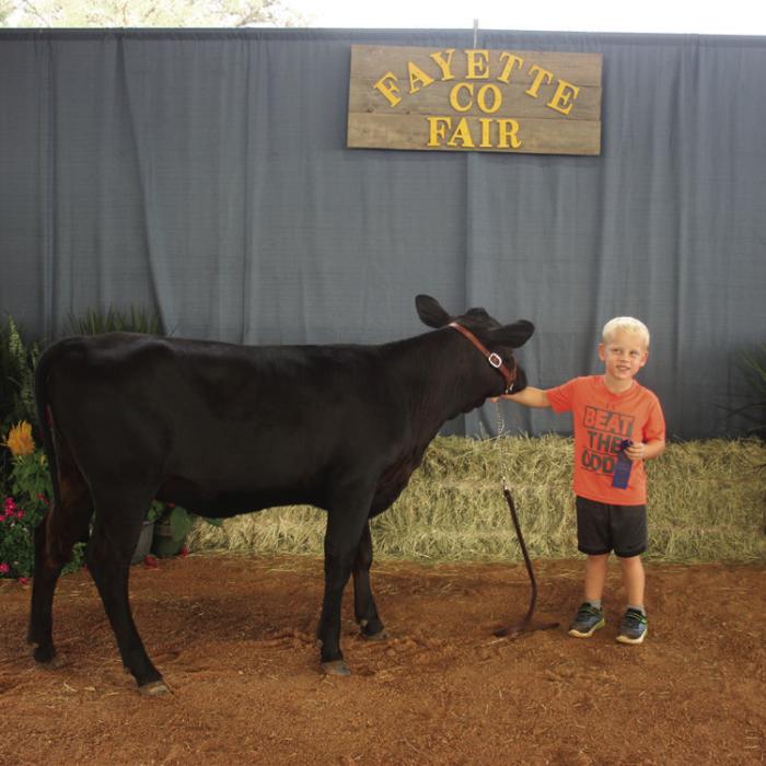 Fayette County Fair Livestock Results | The Fayette County Record