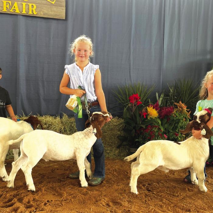 Fayette County Fair Livestock Results | The Fayette County Record